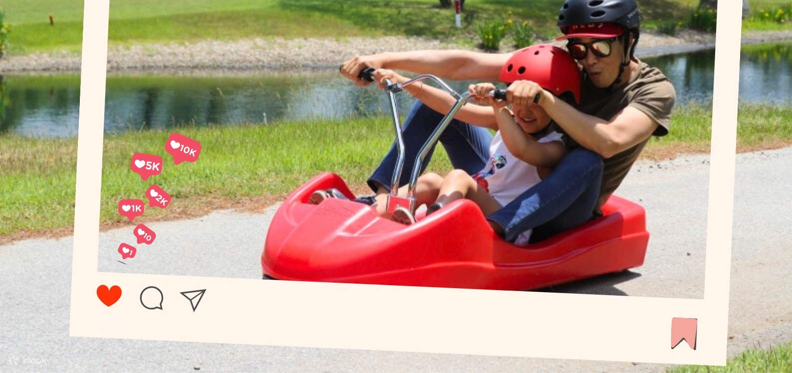 Tagestour zu Alpakaweiden und beliebten Vororten ab Seoul - Klook, Vereinigte Staaten