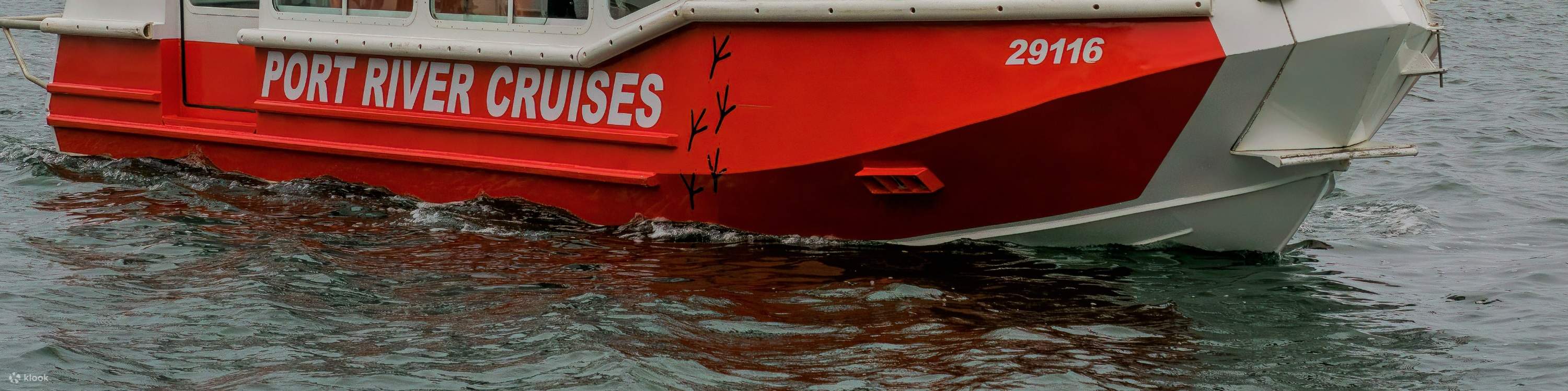 90 Minute Port River Dolphin & Shipwreck Cruise in Port Adelaide - Klook