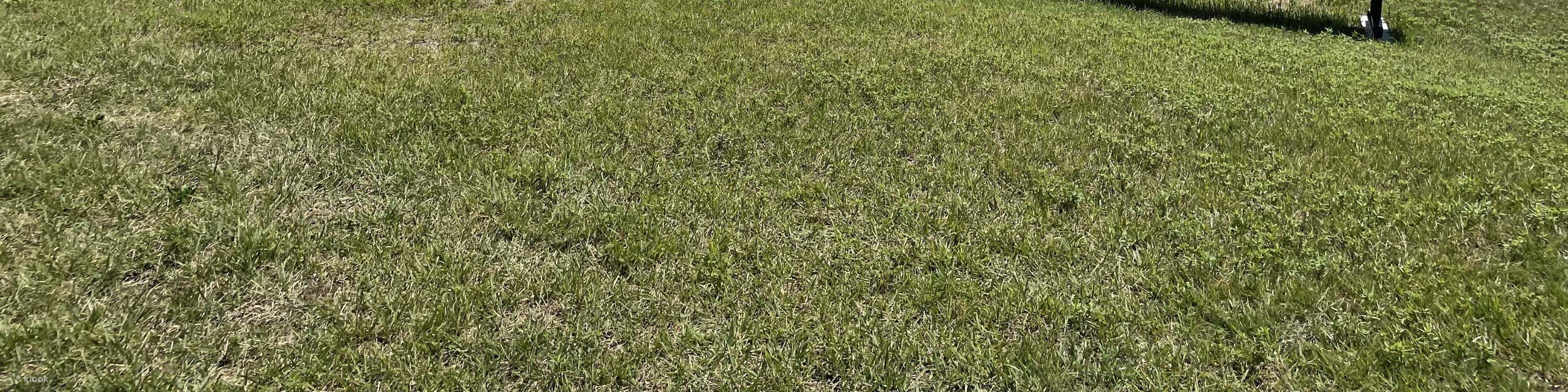 直島一日遊 - Klook香港