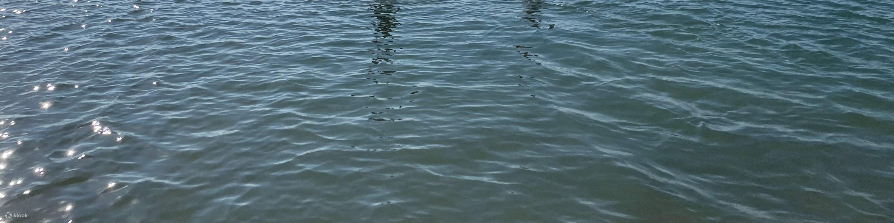 Keikyu Hayama Excursion Ticket - Klook United States