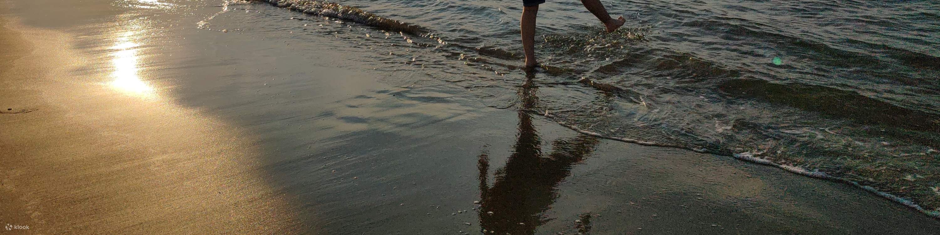 Kota Kinabalu : Bongawan Wetland Proboscis Monkey Shared Tour - Klook