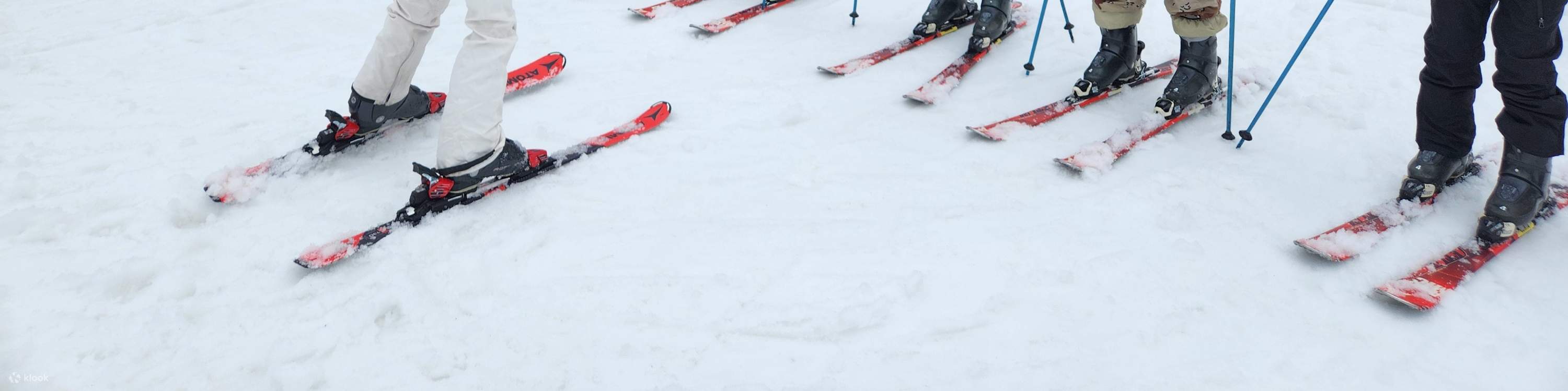 Korea Winter Jisan Ski Resort Day Tour from Seoul - Klook