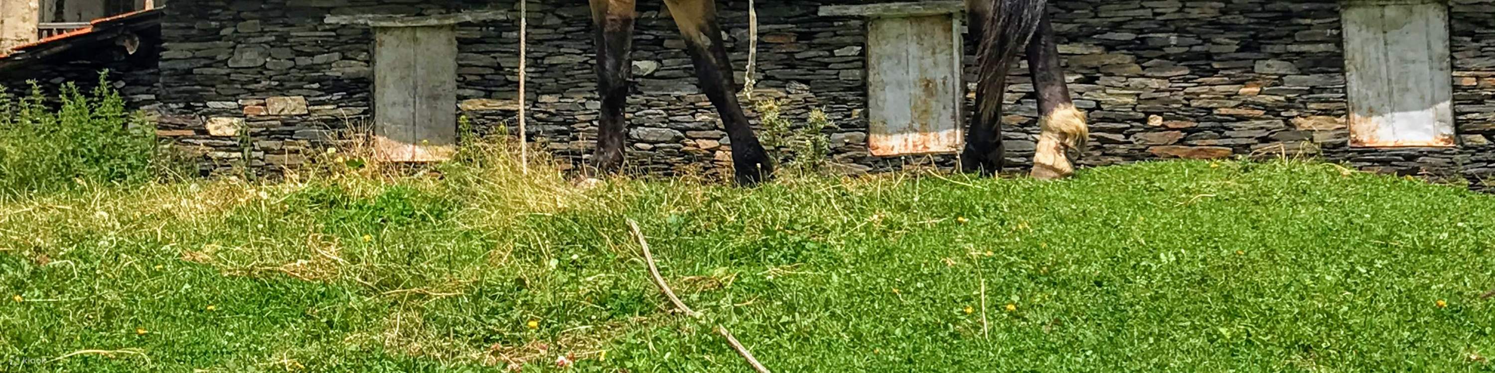 Kazbegi and Truso Valley Off-Road Adventure - Klook