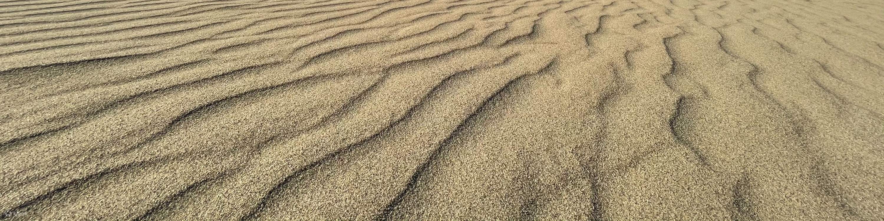 Online reservations for trekking tours, sand sliders, and sandboarding ...