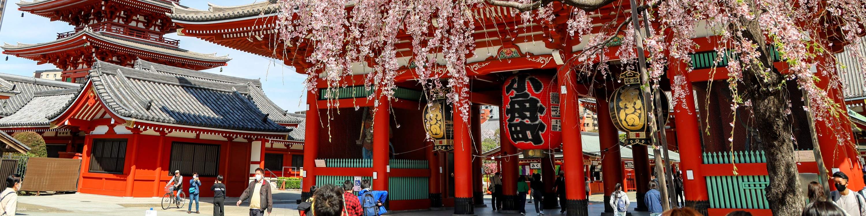 Tokyo Amazing Sightseeing Bus Day Tour - Klook