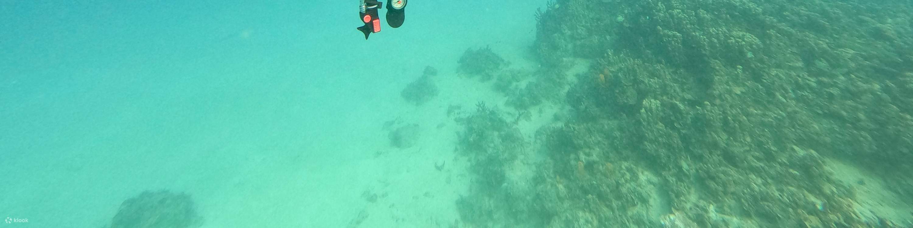 Scuba Diving and Standup Paddleboard Lesson in Guam - Klook India
