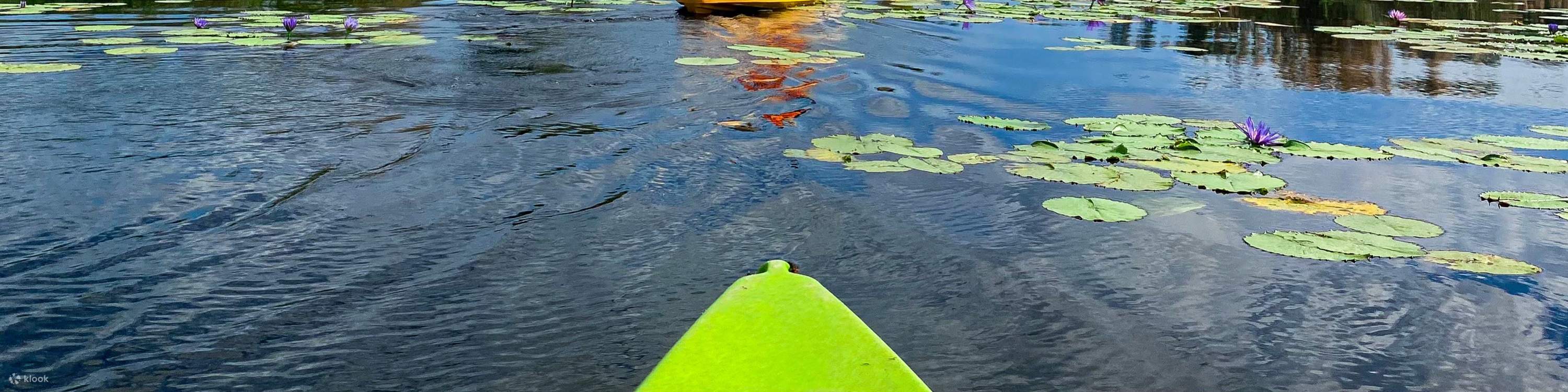 Akuarium Rayong dan Pantai Suan Son Perjalanan Satu Hari dari Pattaya ...