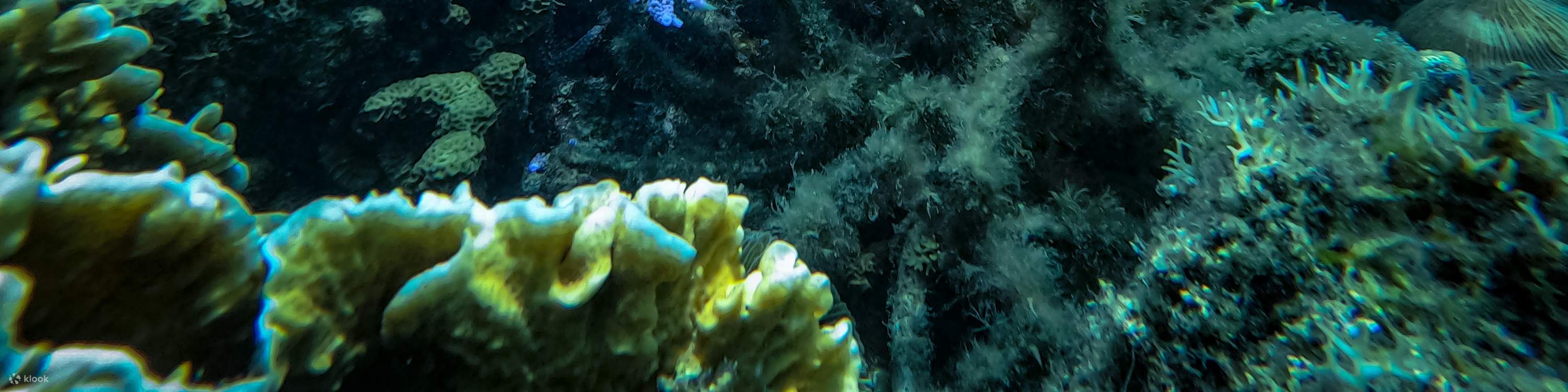 Mengalum Island and Snorkeling Day Tour, Sabah, Malaysia - Klook Malaysia