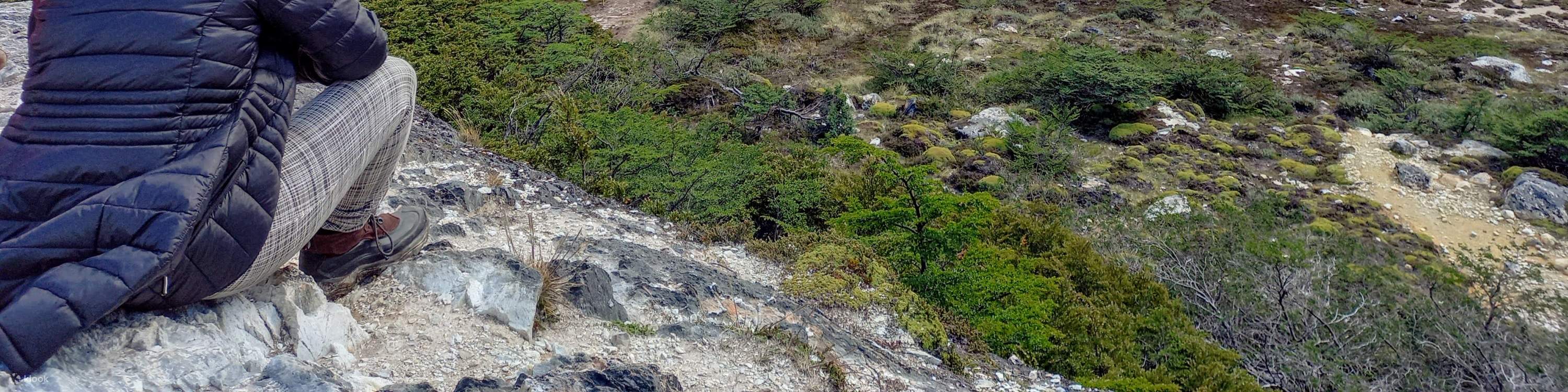 Discover the Beauty of Emerald Lagoon: Half Day Trek Tour from Ushuaia ...