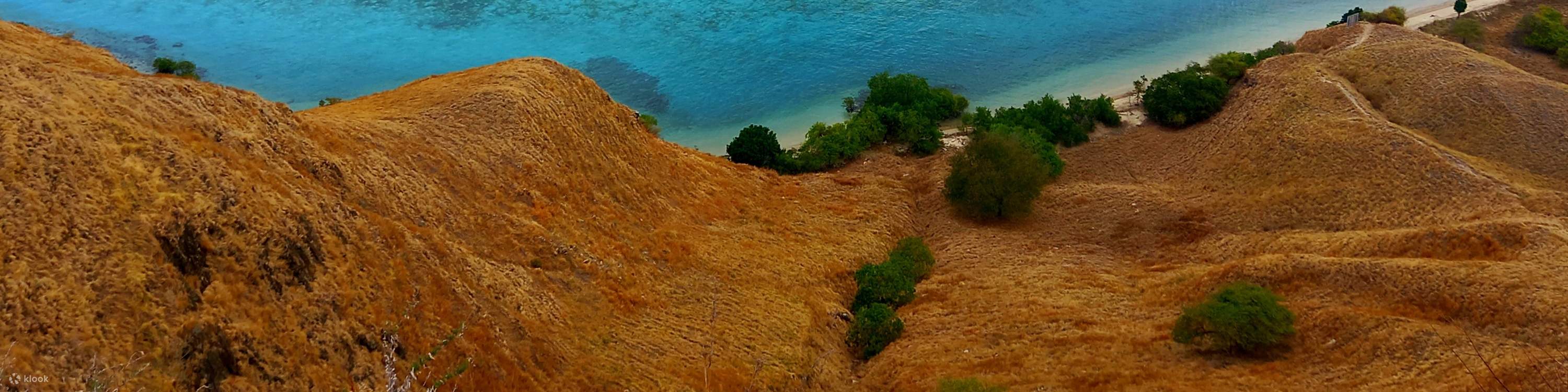 Selam Skuba di Taman Negara Komodo dengan Selam Maika - Klook Amerika ...
