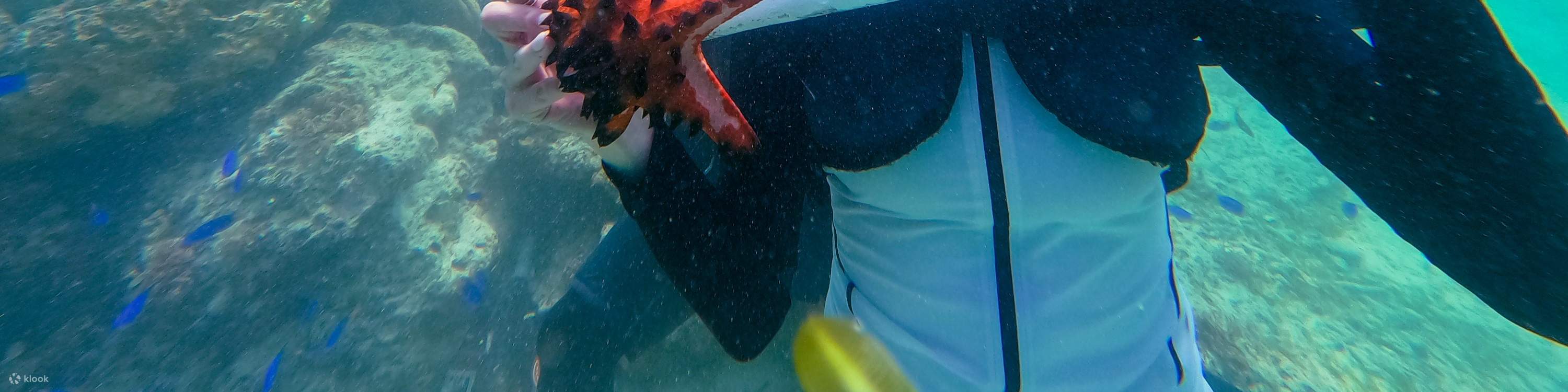 Explore Underwater Wonders: Cebu Helmet Dive Experience with Sea ...