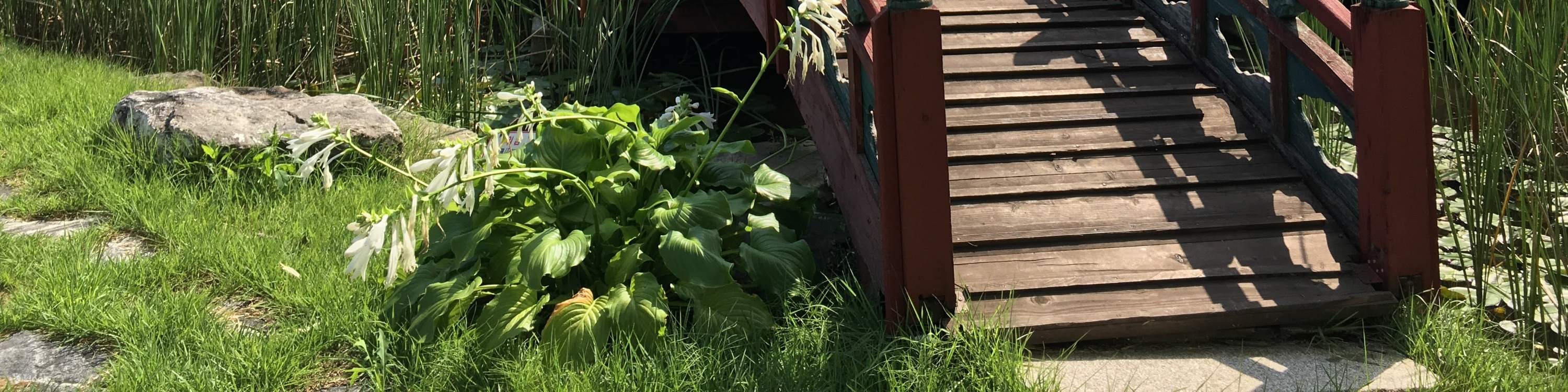 Yongin Dae Jang Geum Park Tour - Klook