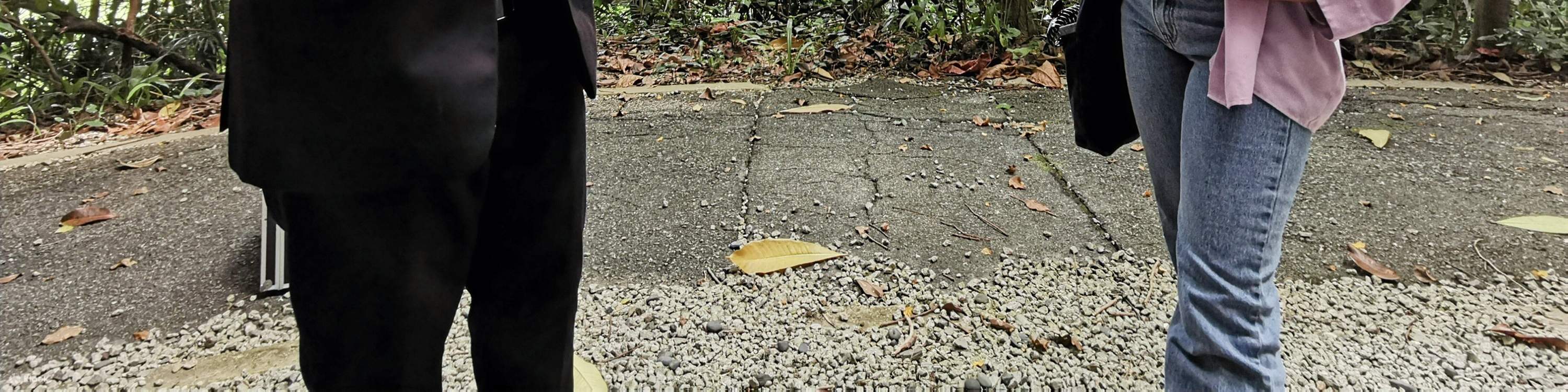 Sentosa Island Walk Magical Discovery Sentosa Walking Tour from ...