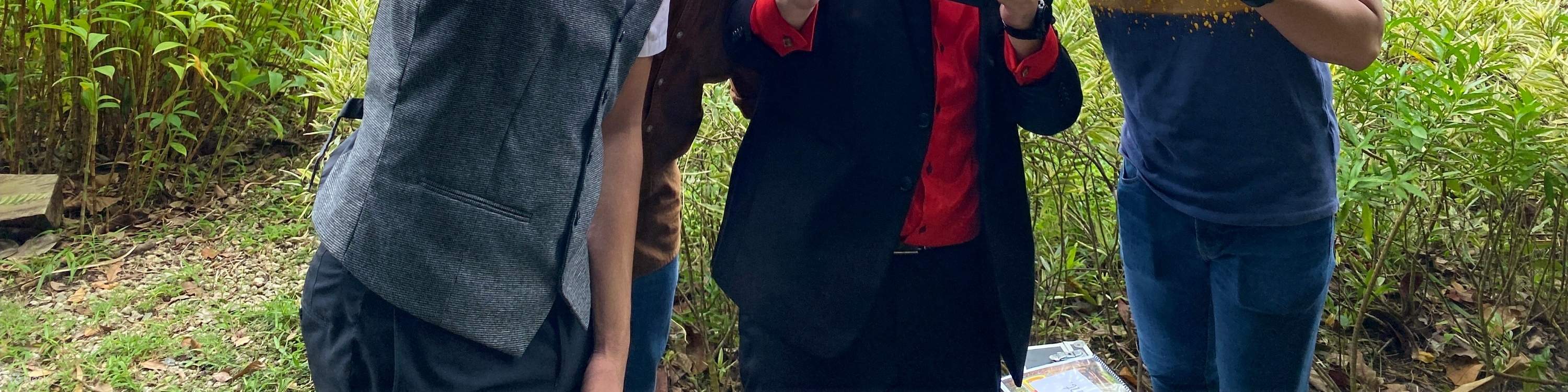 Sentosa Island Walk Magical Discovery Sentosa Walking Tour from ...