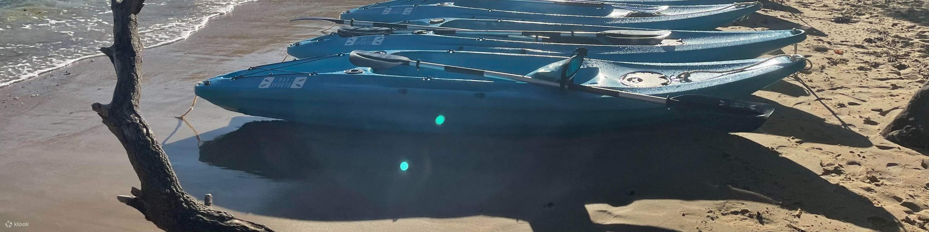 Manly Cove Kayaking Tour - Klook Malaysia