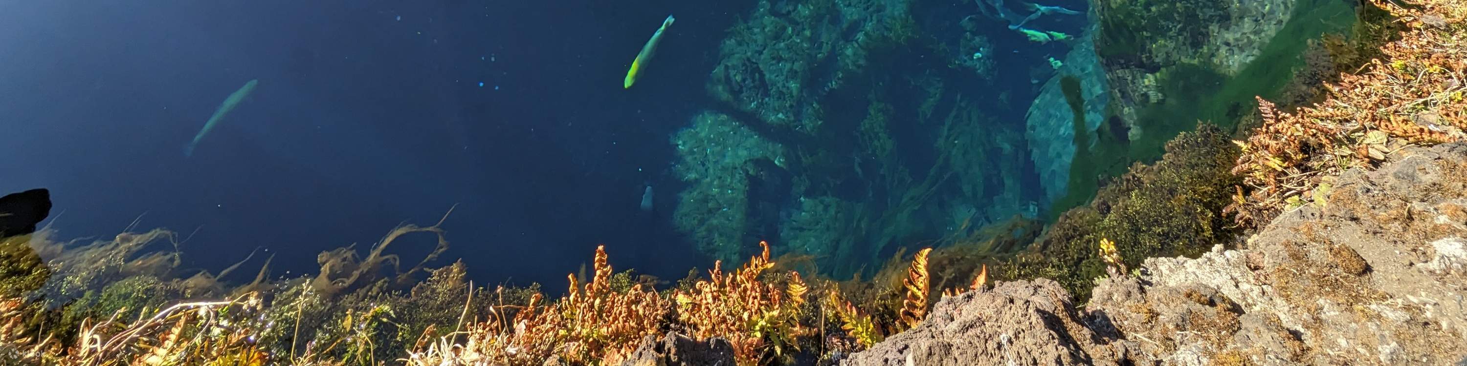 Fujisan and Tokyo 23 wards Private One Day Guided Tour - Klook Philippines