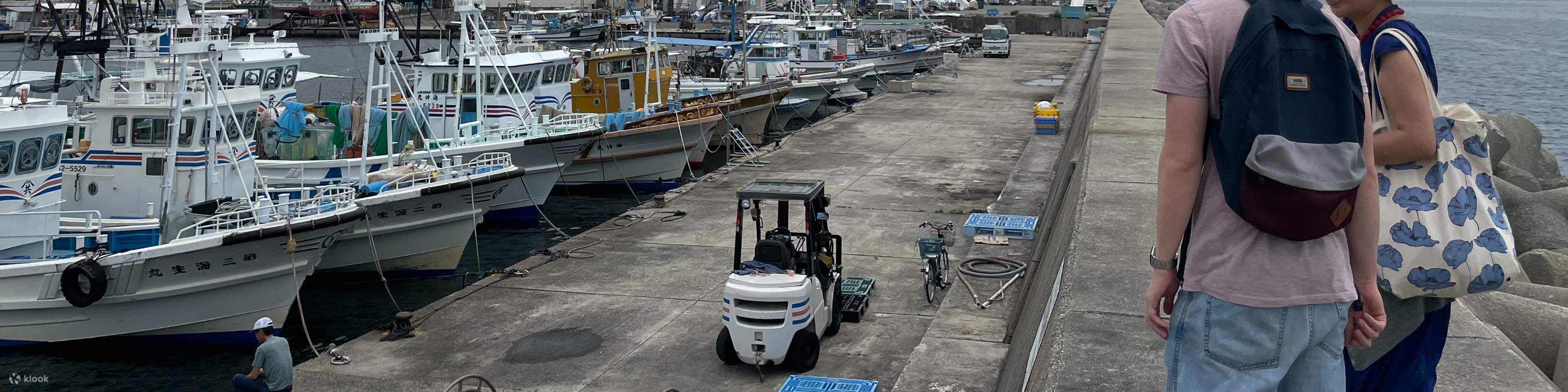 Shioya Join In Half Day Walking Tour - Klook Singapore