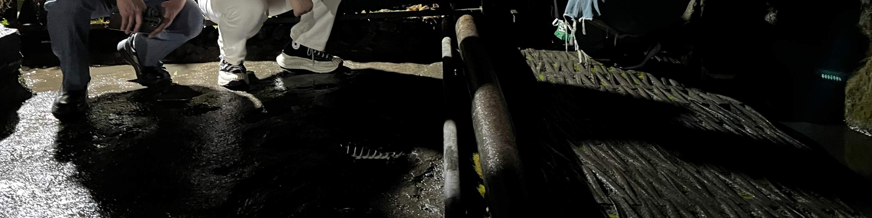 Uncover Korean War History at the New Cheorwon DMZ - Klook United States