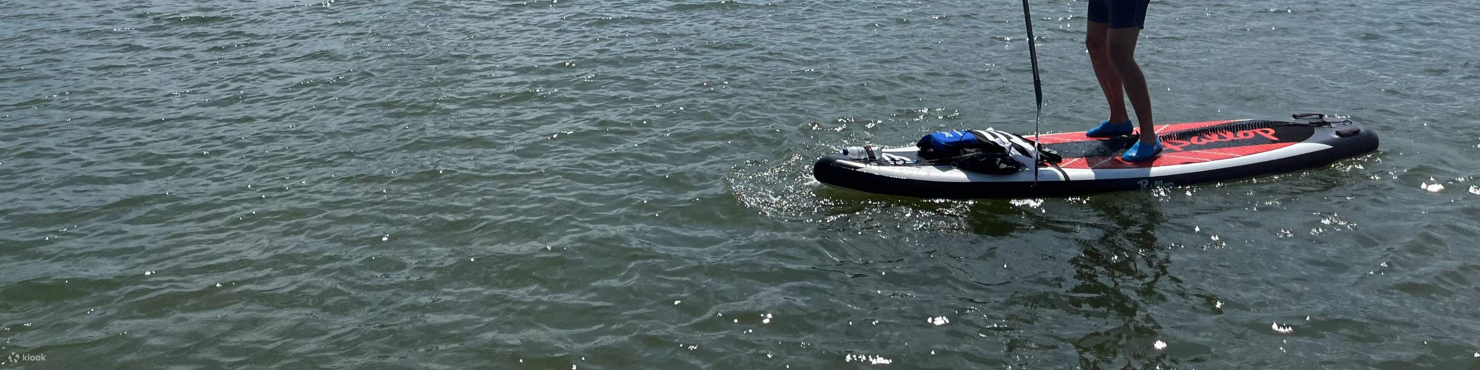 Aktivitas Stand Up Paddle Board (SUP) dan Kayak di Sungai Han - Klook ...