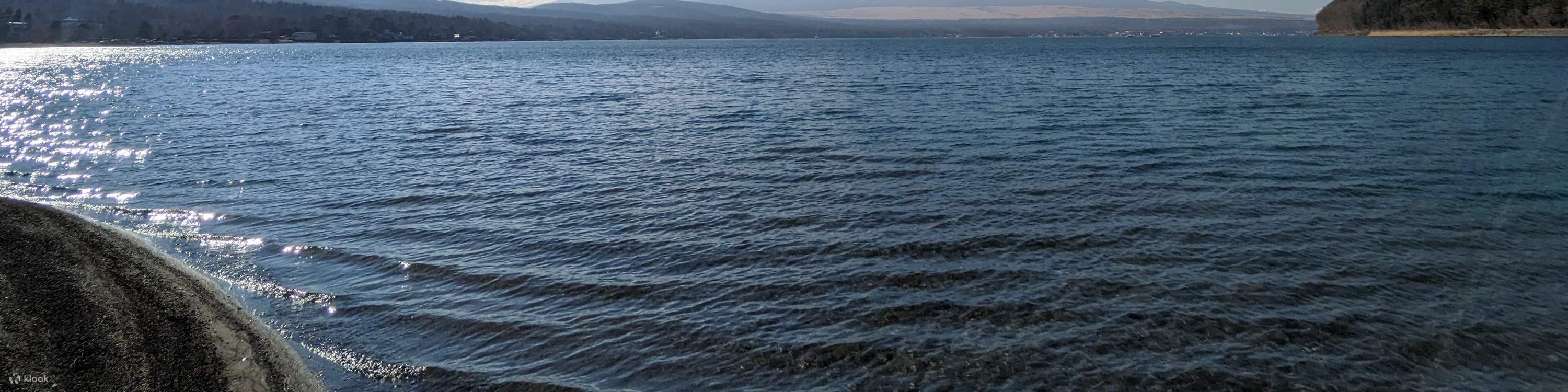 Fujisan and Tokyo 23 wards Private One Day Guided Tour - Klook