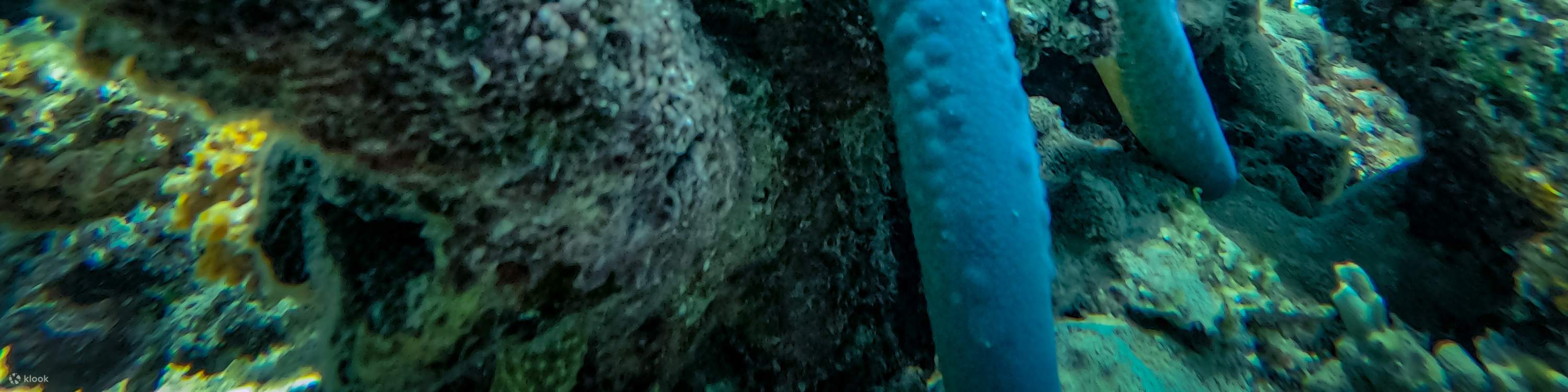 Mengalum Island and Snorkeling Day Tour, Sabah, Malaysia - Klook Malaysia