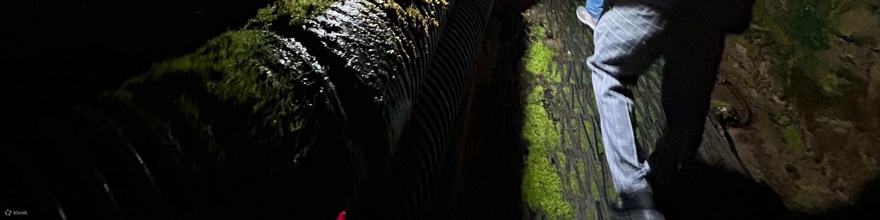 Uncover Korean War History at the New Cheorwon DMZ - Klook