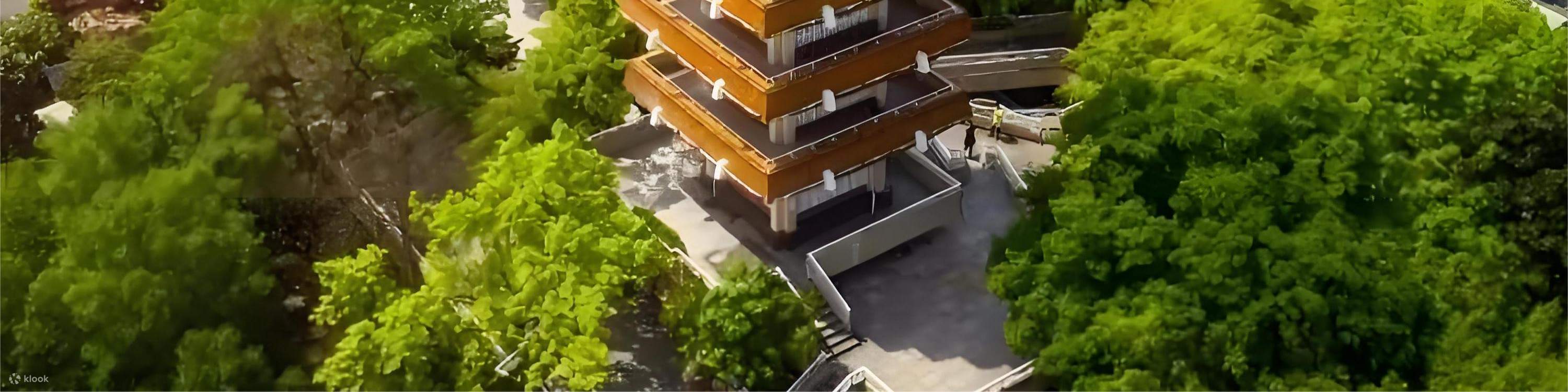 Chongqing Private Guided Day Tour Three Gorges Museum General Stilwell ...