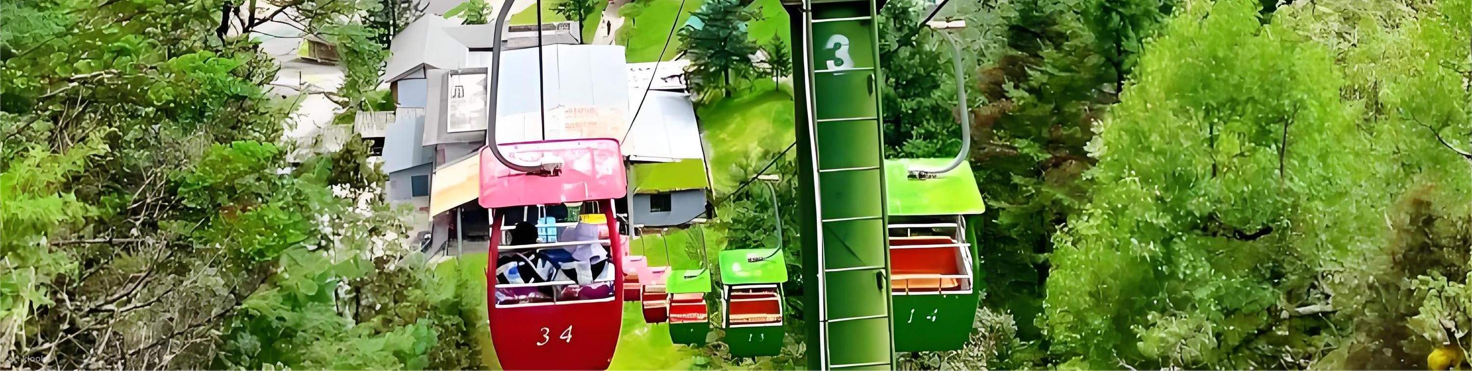 Lijiang Private Small Group 1 Day Tour Jade Dragon Snow Mountain ...