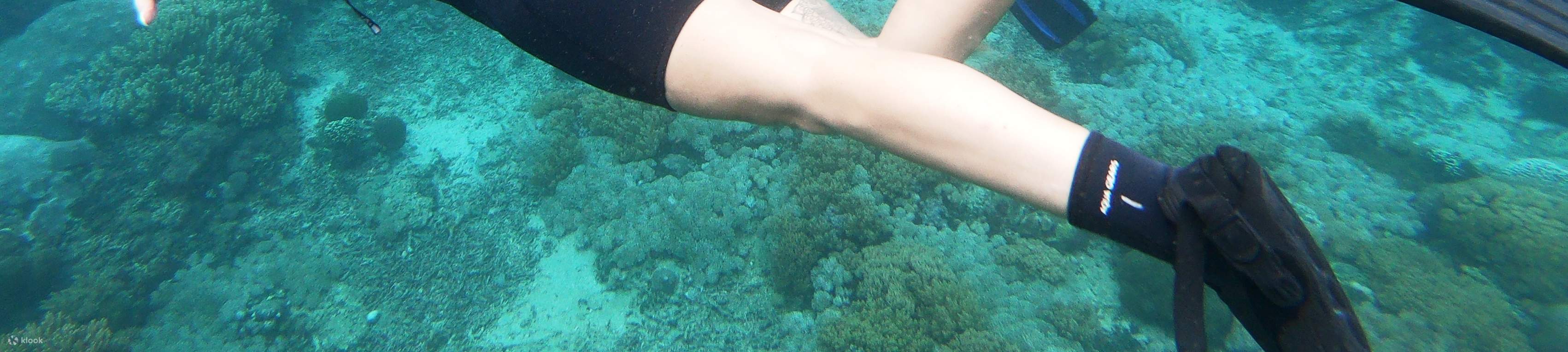 Experience Unforgettable Snorkeling at Padang Bai with PADI 5 Star Dive ...