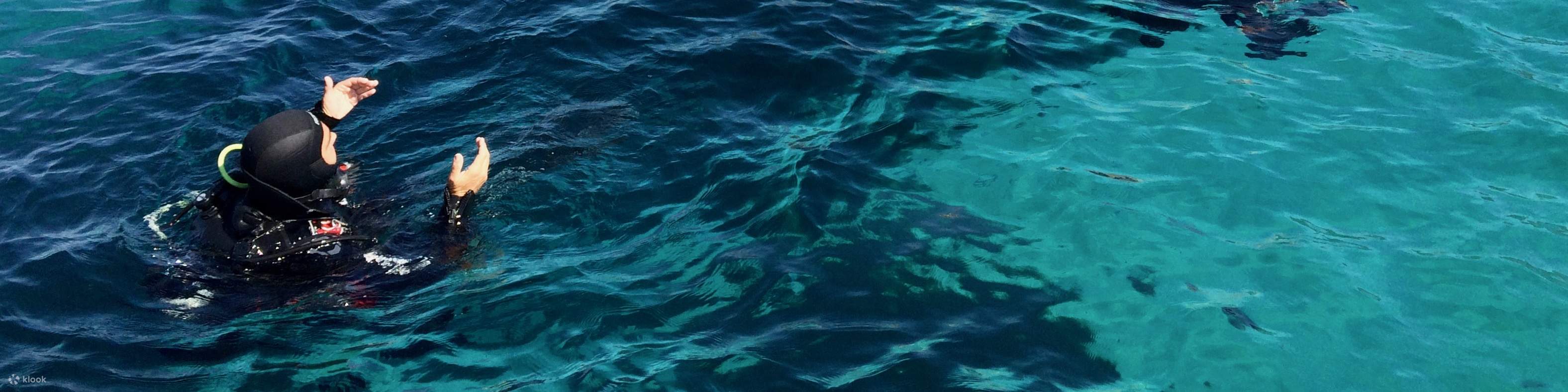 PADI Open Water Diver in Sardinia with PADI 5 Star Dive Resort - Klook