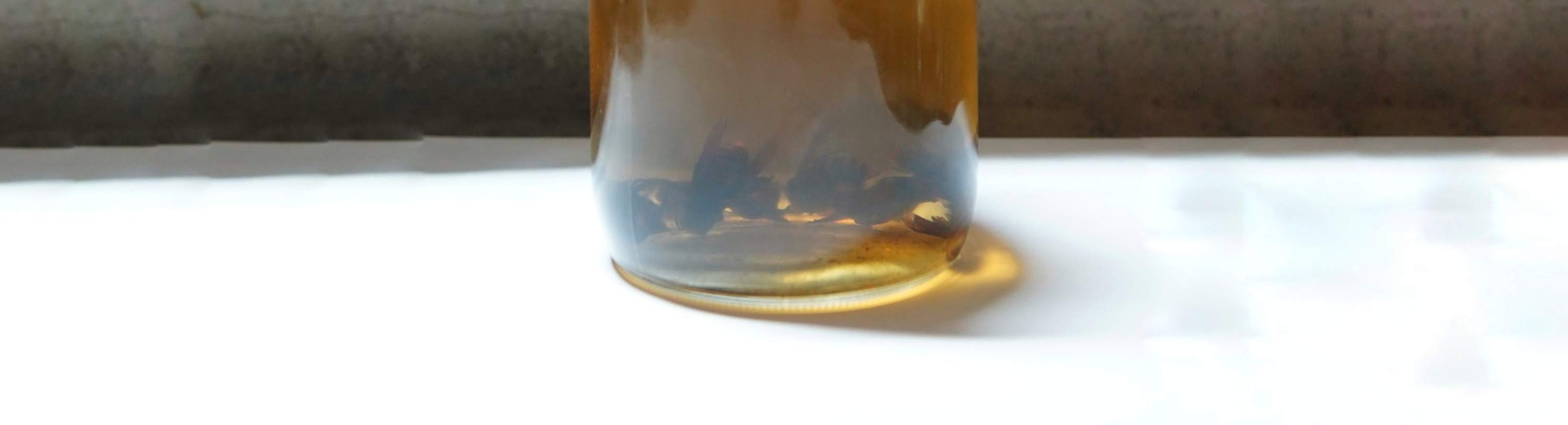 NEO SHINJYUKU ATSUSHI - Themed Restaurant in Tokyo, Shinjuku - Klook