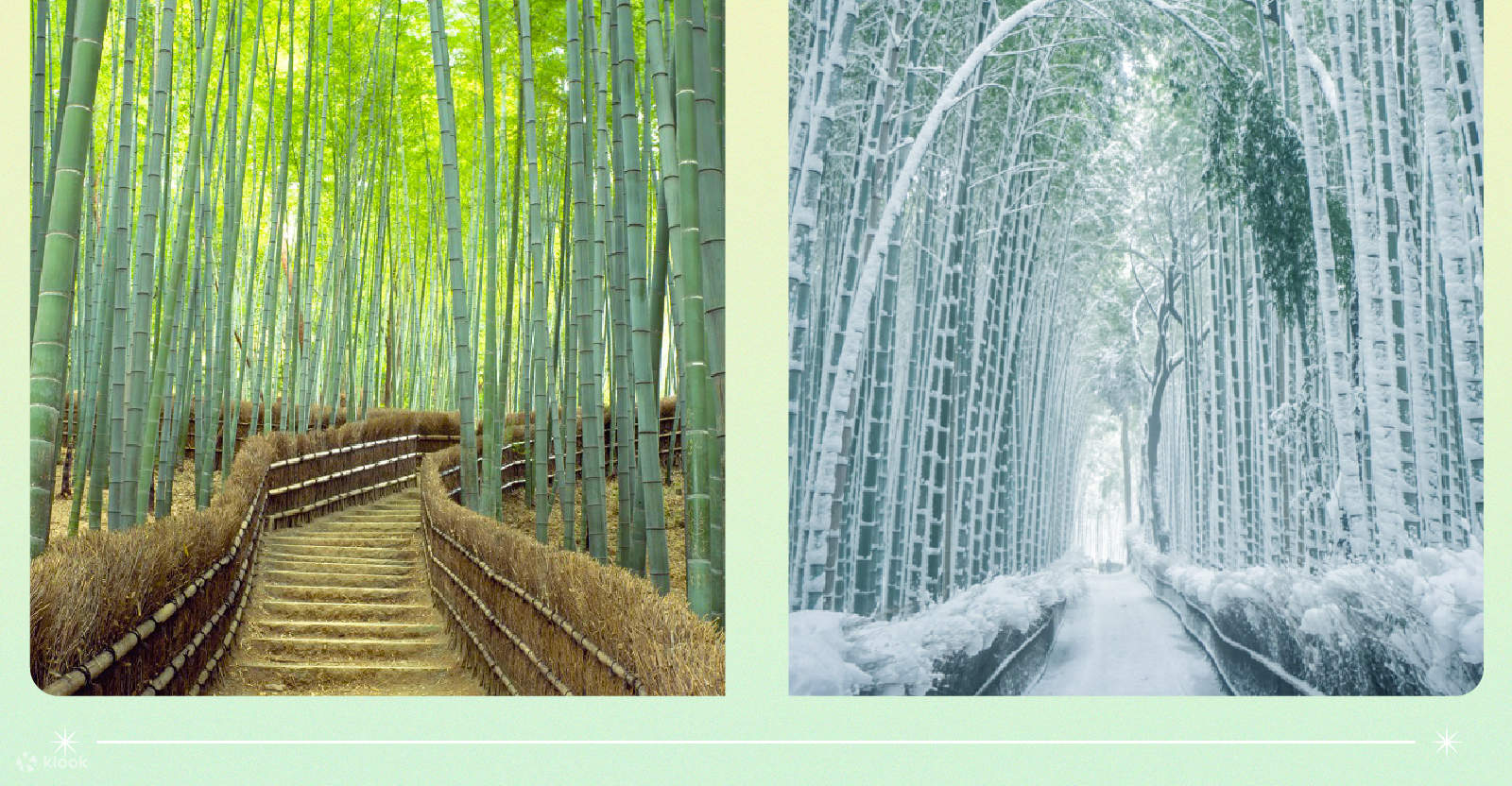 Arashiyama, Nara & Yasaka Shrine & Hanamikoji OneDay Tour from Osaka ...