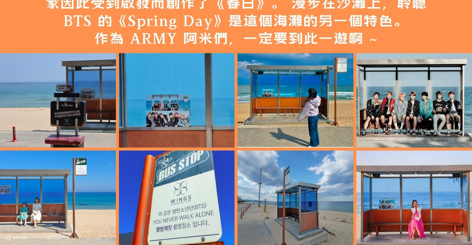 Pemandangan Bunga Sakura Teras Gyeongpo Gangneung & Atraksi Budaya ...