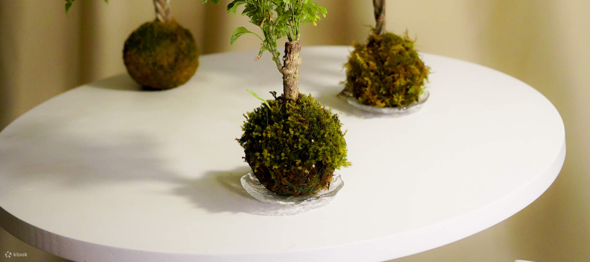 Moss Jade Workshop - Klook