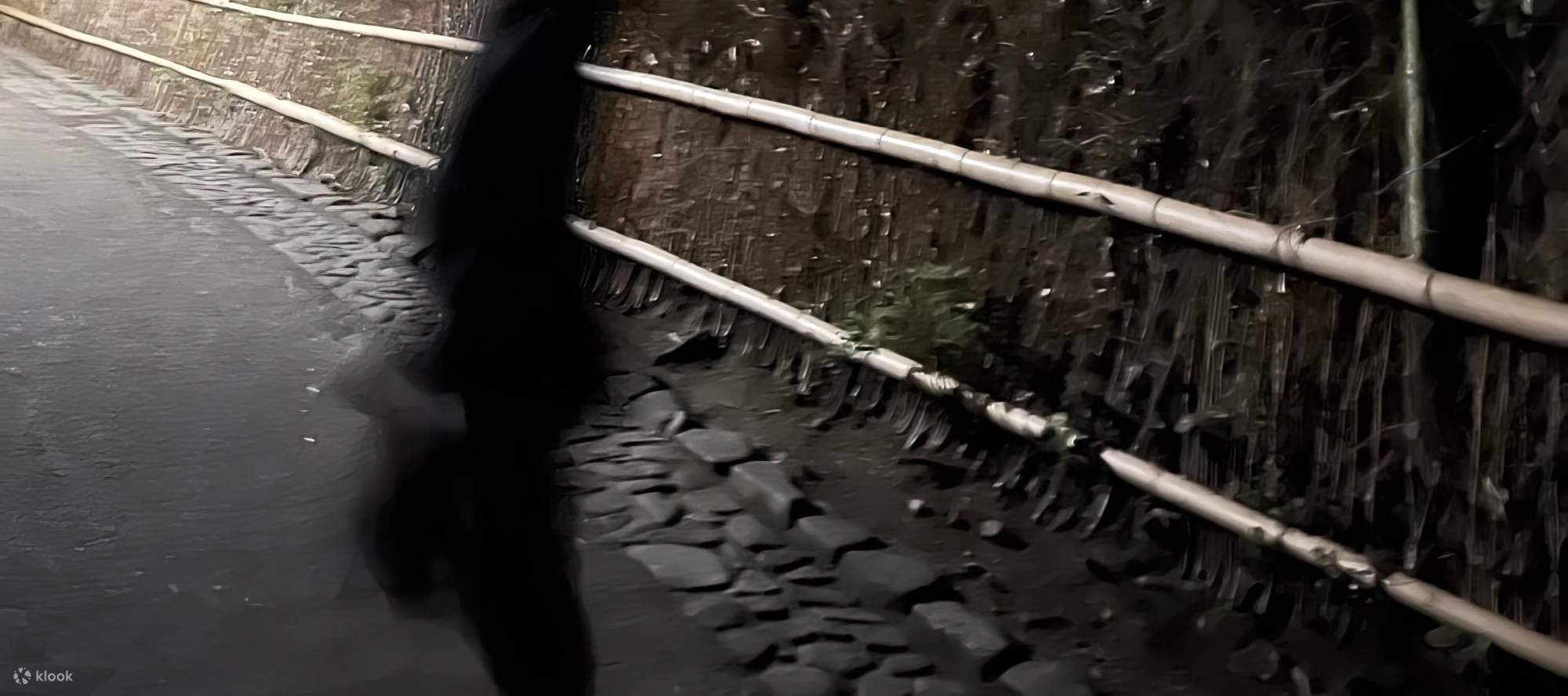 Kyoto City, Arashiyama Ghost Hunting Night Tour - Klook