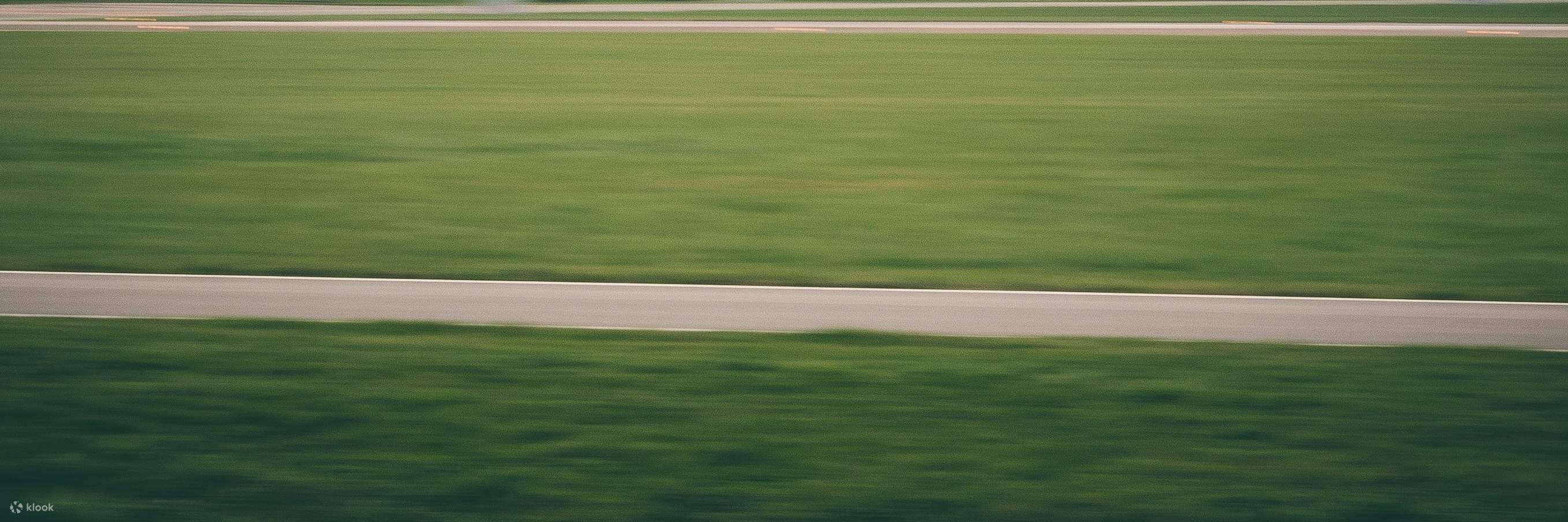 Amsterdam Private Guided Tour for Layover Flight 3 hours - Klook