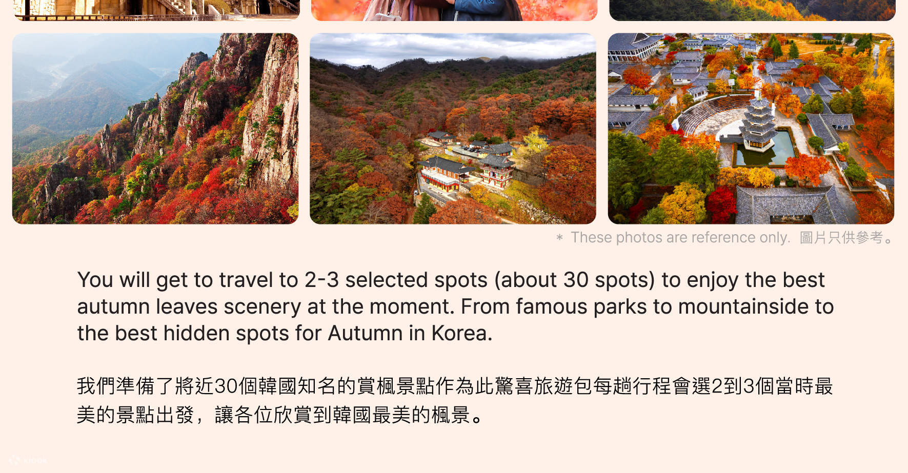 Memorable Autumn Foliage Day Tour from Busan - Klook Singapore