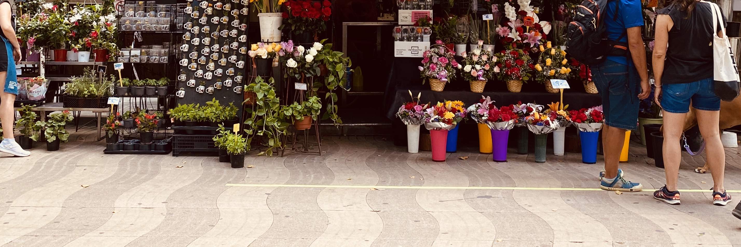 Lawatan Suku Gothic Barcelona, Pertunjukan Flamenco & Lawatan ...