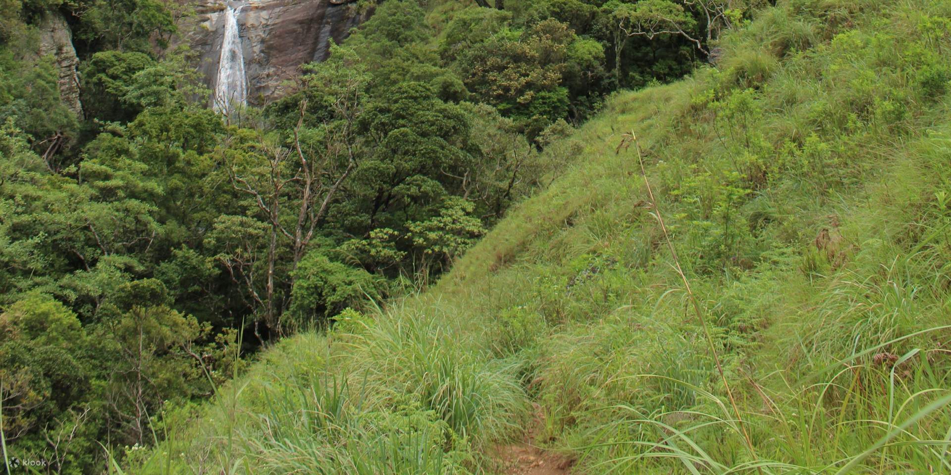 Discover the Beauty of Sri Lanka's Waterfalls: Bambarakanda Falls and ...