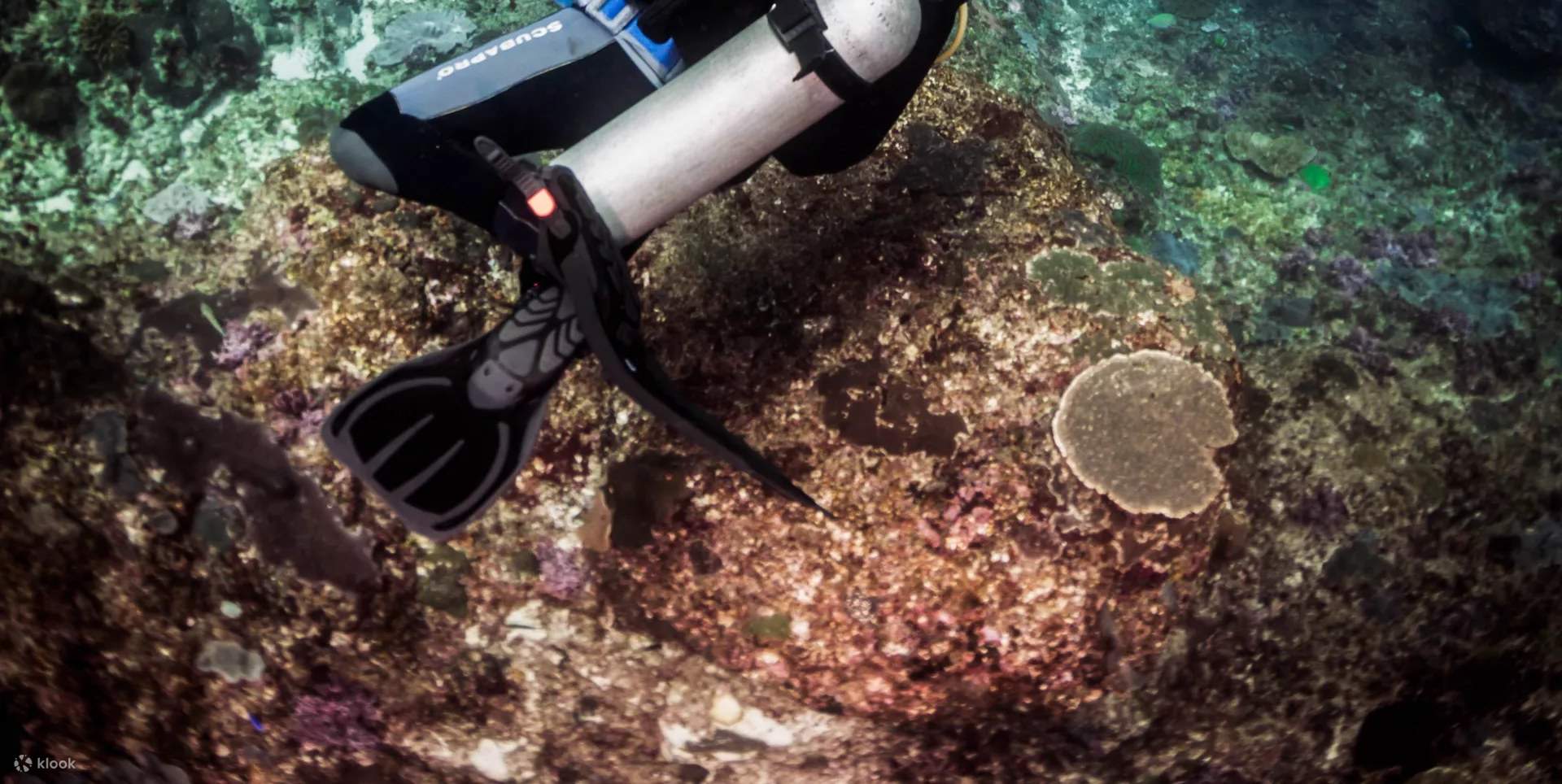 Jelajahi Kedalaman Lebih Dalam dengan Penyelam Perairan Terbuka Tingkat ...