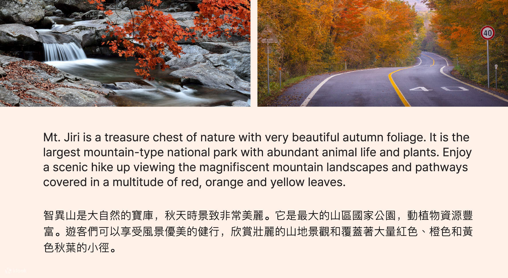 Mountain Jiri Scenic Autumn Day Tour from Busan - Klook Singapore