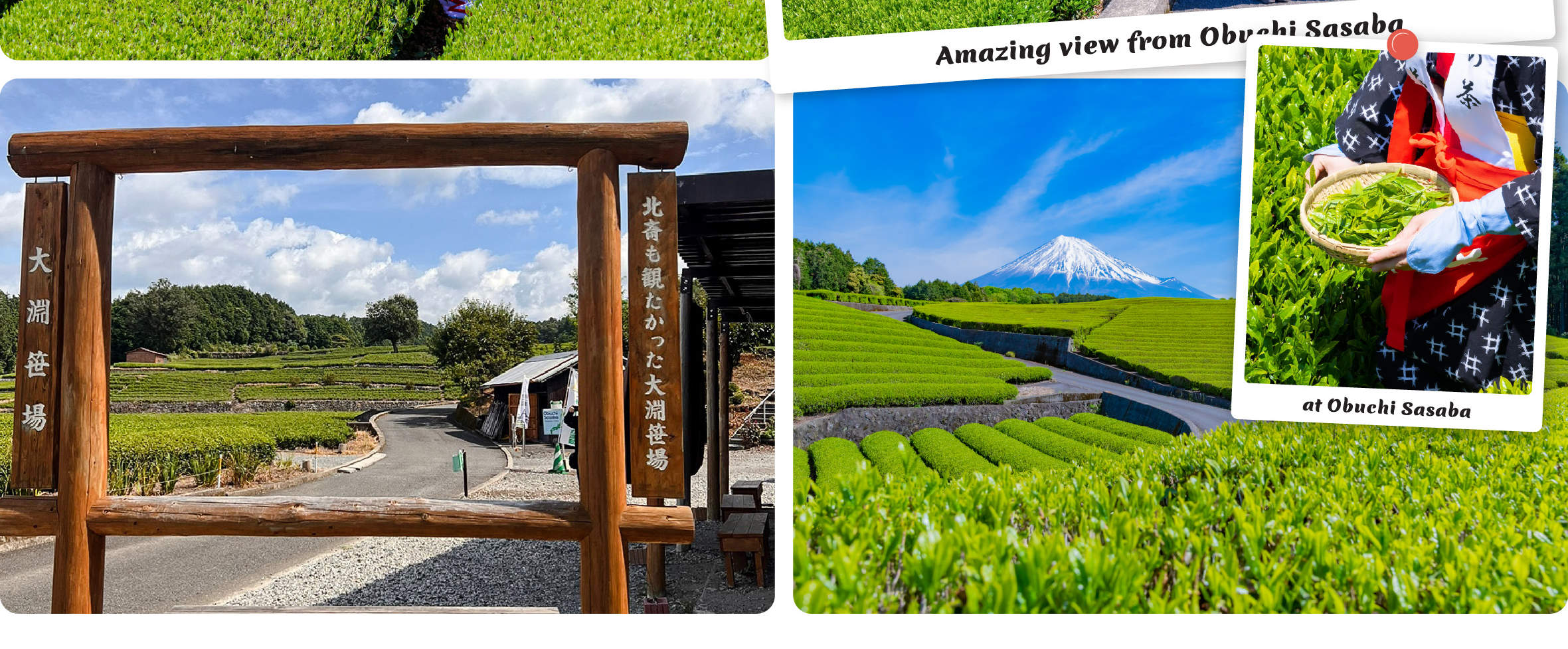 [Mt. Fuji & Hakone] Fujisan Yumeno Ohashi, Owakudani, Oshino Hakkai ...