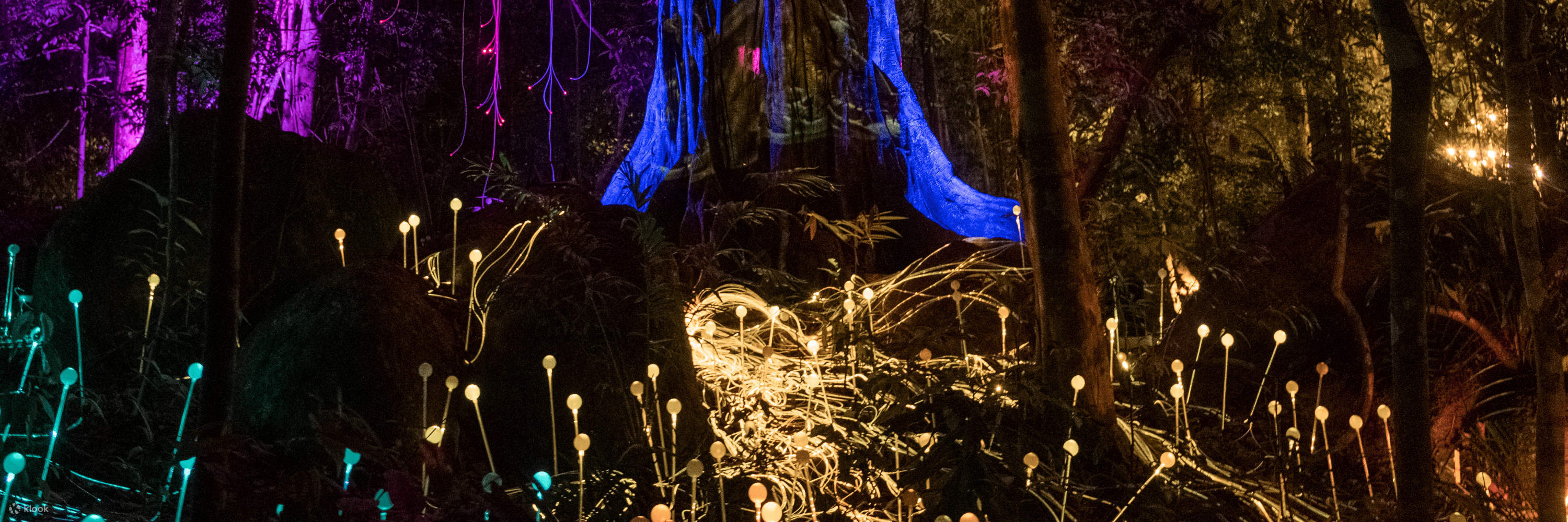 Dream Forest Langkawi Ticket - Klook Australia