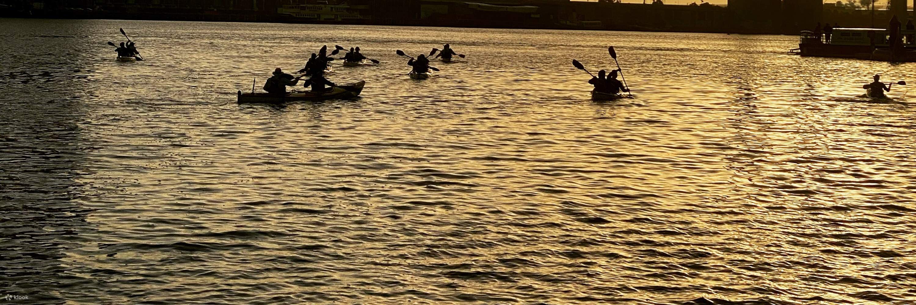 Moonlight City Sightseeing Kayak Experience in Melbourne - Klook