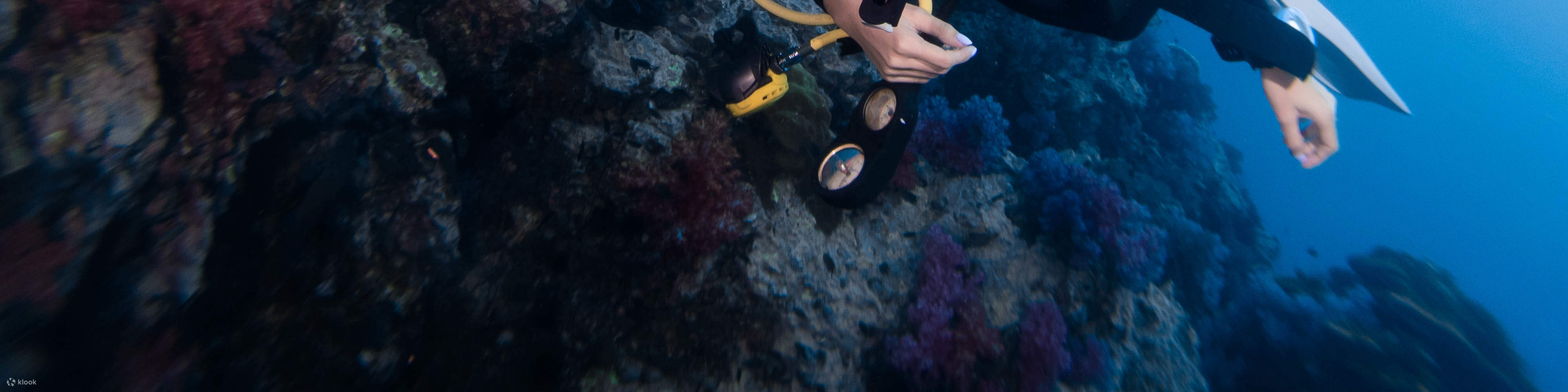 발견의 세계로 뛰어들기 Padi 다이브 센터와 함께 발리 파당바이에서 Padi 디스커버 스쿠버 다이빙 클룩 Klook 한국