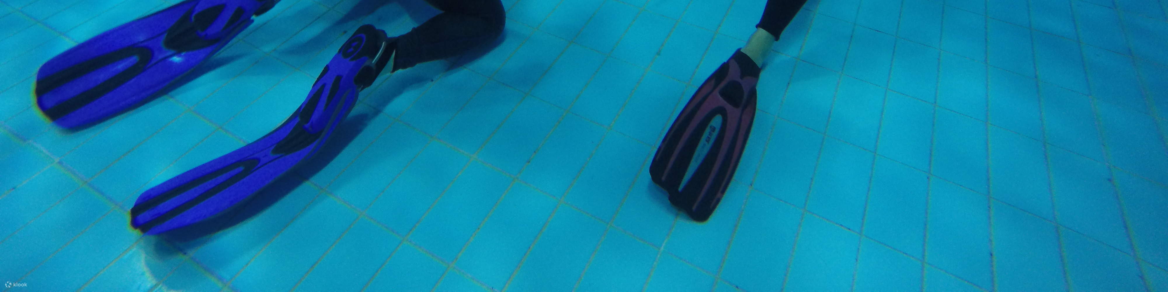 Explore the Depths: Open Water Diver in Busan with PADI 5 Star IDC - Klook