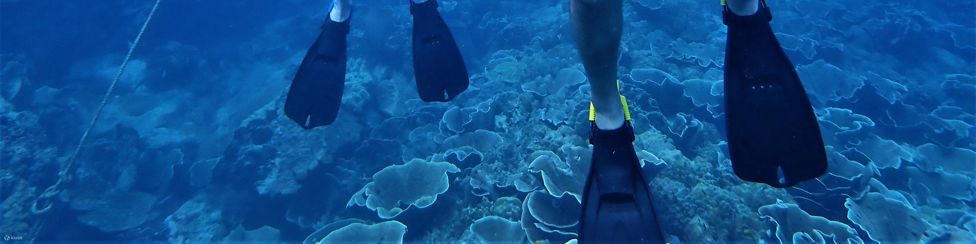 Experience PADI Try Scuba Diving in Koh Chang with PADI 5 Star Dive ...