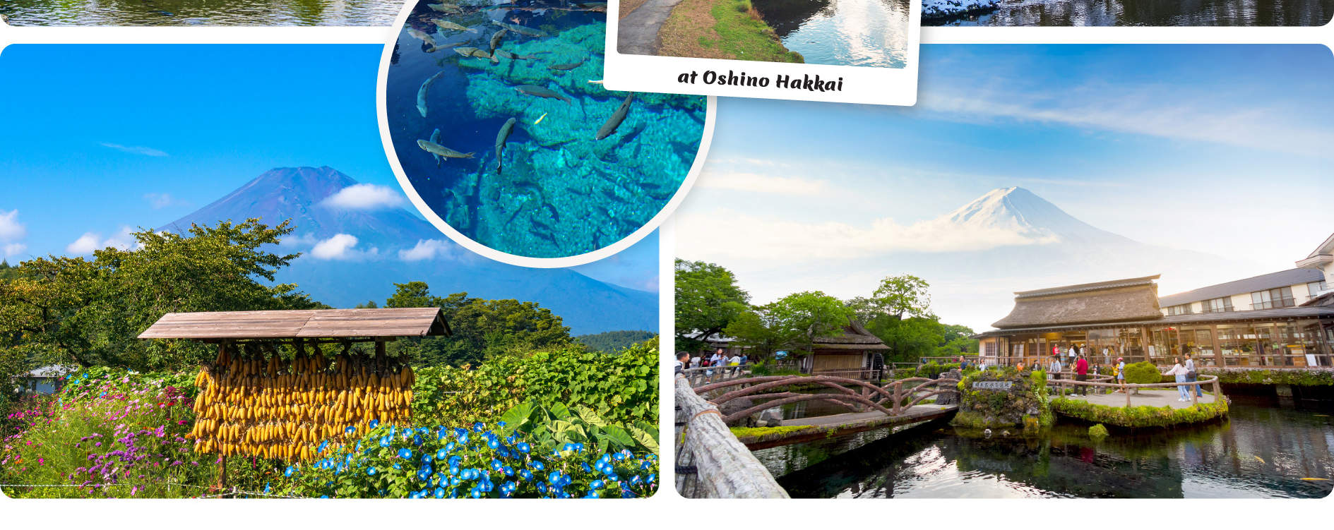 [Mt. Fuji & Hakone] Fujisan Yumeno Ohashi, Owakudani, Oshino Hakkai ...