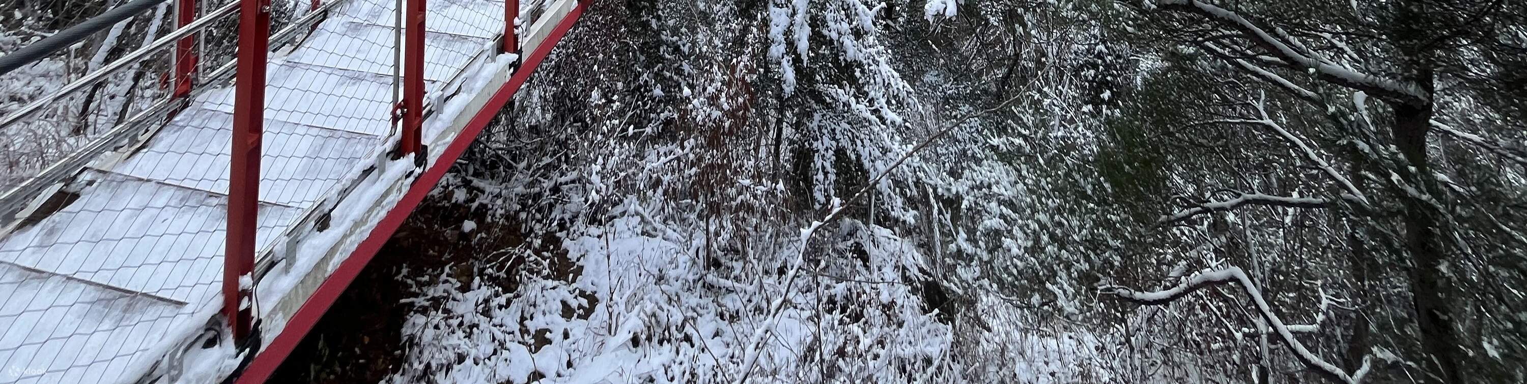 DMZ One Day Tour from Seoul - Klook