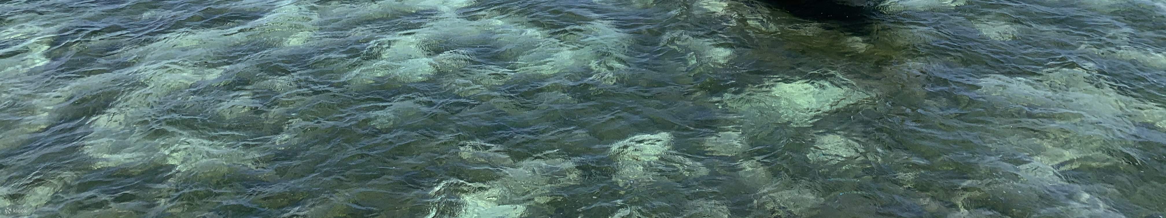 Experience the Thrill of Giant Clam Dive in Tokoriki Island with PADI 5 ...